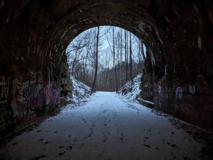 Standing inside looking out offers a different perspective—the tunnel becomes a frame for the living world beyond.