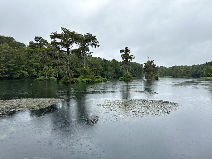Moody waters mirror the cloudy skies, revealing Wakulla's other personality – contemplative, mysterious, and no less beautiful on overcast days.