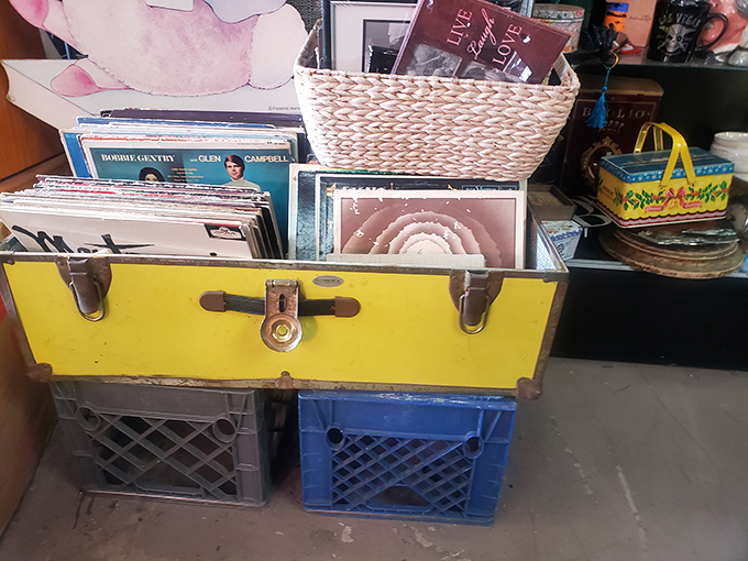 Vinyl treasures nestled in milk crates—the way records were meant to be discovered. Each sleeve holds musical memories waiting to be spun again.