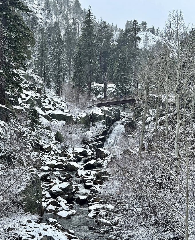 Winter transforms the falls into a frozen symphony – Elsa would definitely approve of this ice palace.