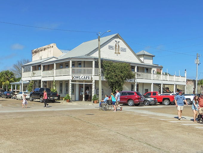 Apalachicola after dark reveals a quieter side of this fishing village – those historic buildings hold seafood secrets worth discovering by daylight.