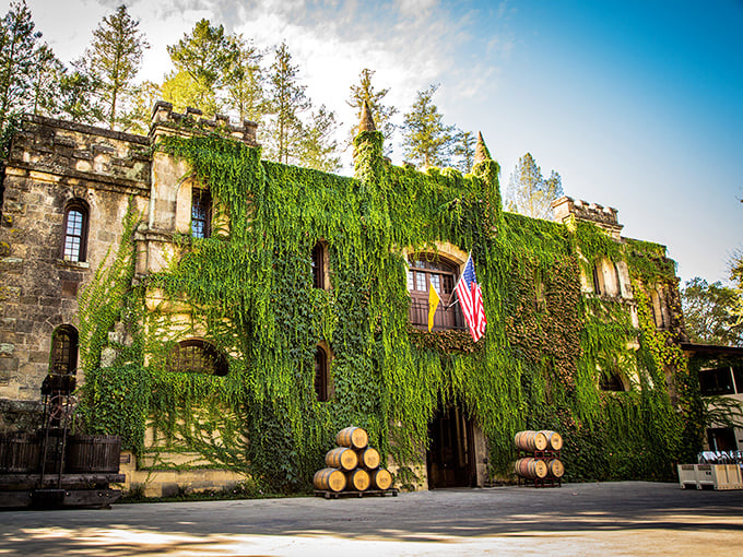 Chateau Montelena: Ivy-covered stone walls reflect in a serene pond—a French chateau that produces world-class wines in the heart of Napa Valley.