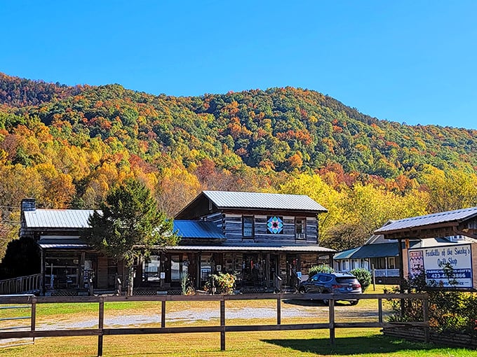 Fall colors, mountain air, and a cozy country shop—Cosby feels like the kind of place where time slows down just right.