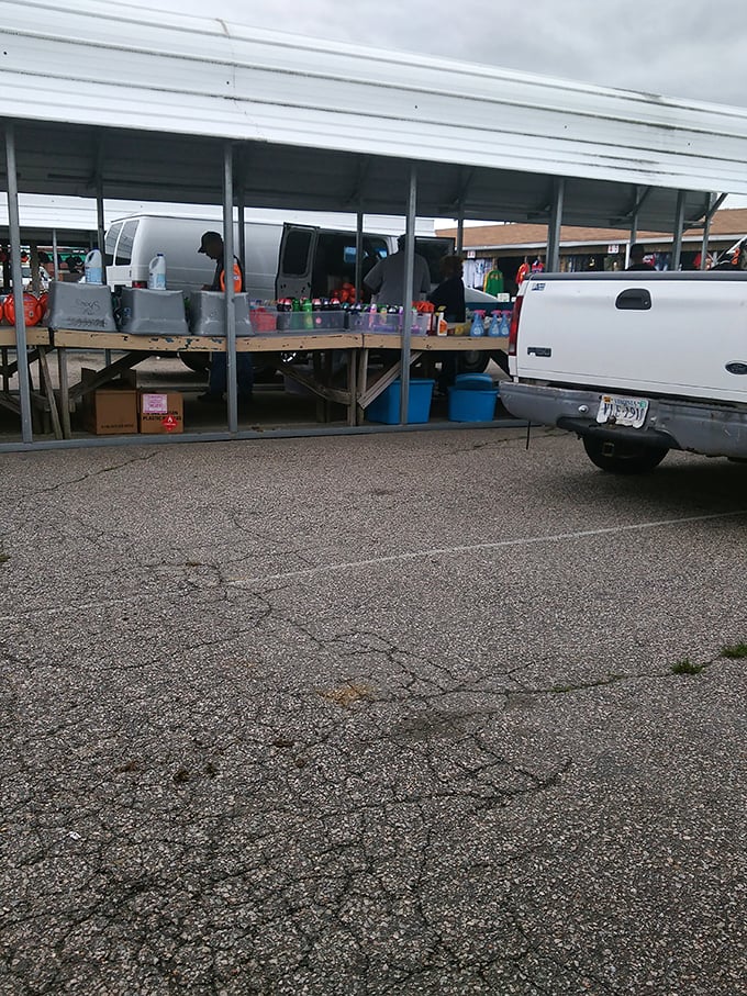 Norfolk's flea market wears its name proudly—no fancy frills needed when the bargains speak for themselves.
