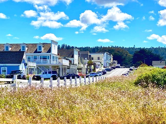 Coastal charm meets historic elegance in Mendocino, California — a scenic seaside village known for its Victorian architecture, wildflower meadows, and breathtaking ocean views.