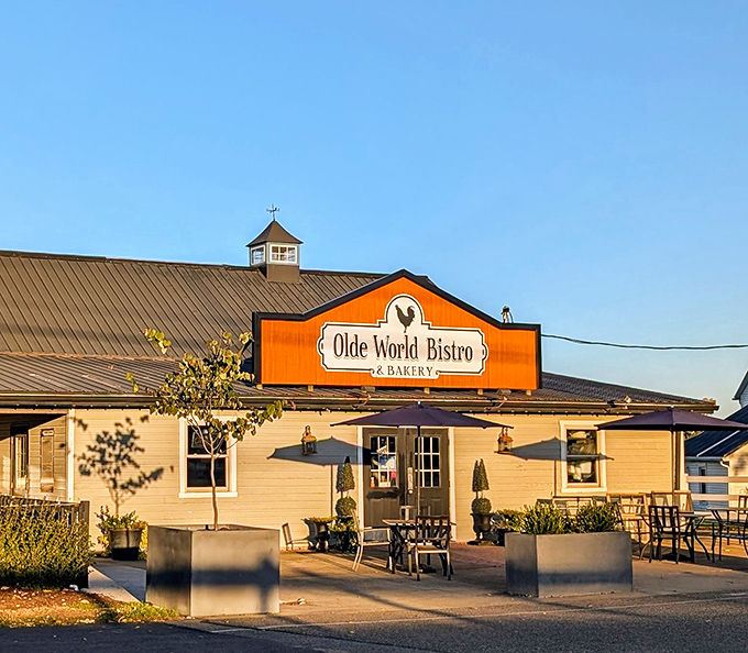 Olde World Bistro's bright orange sign acts like a delicious beacon, drawing hungry travelers from miles around.