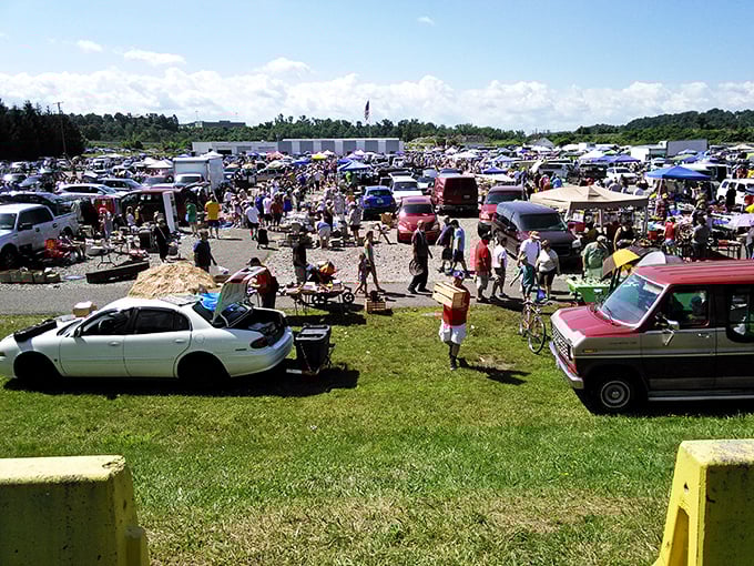 Parking lot turned treasure trove! Trader Jack's transforms asphalt into a bustling marketplace where vintage frames lean against a vendor's truck.