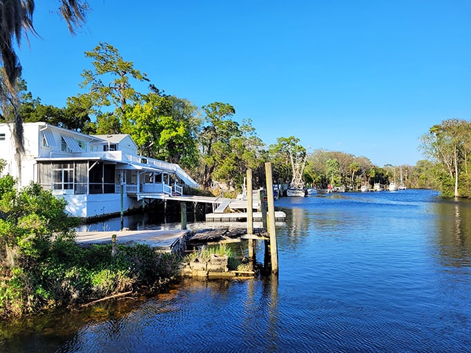 River meets Gulf in a watercolor of blues and greens. Fishermen's paradise where the Withlacoochee opens to endless possibilities.