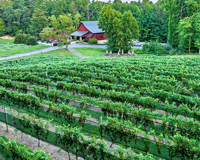 Just steps from DC but worlds away in pace – Clifton's lush greenery offer the perfect small-town escape.