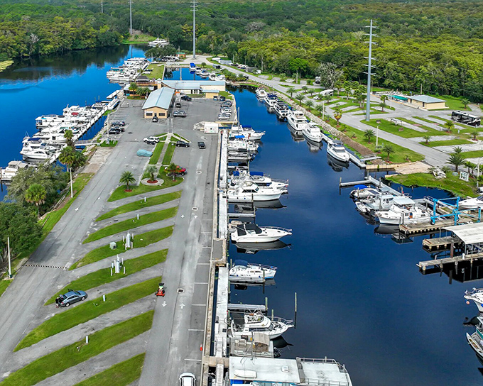 The boats of DeLand's historic district pop against the green canopy of ancient oaks.