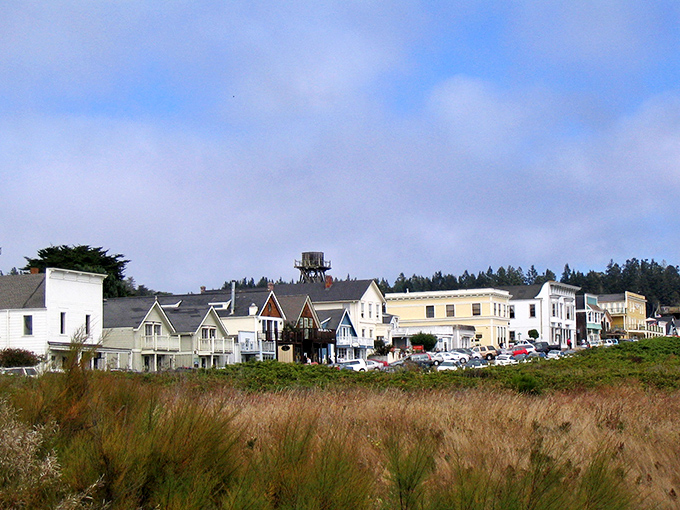 Mendocino's historic water towers and Victorian buildings create a photographer's dream village. Where every view looks like it belongs on a postcard.