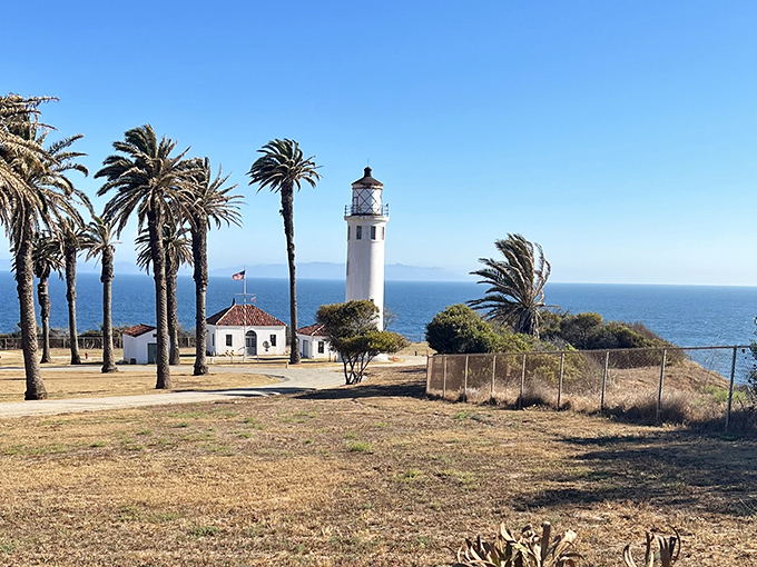 Palm trees and a lighthouse – Point Fermin delivers that only-in-California coastal magic that feels like a movie set.