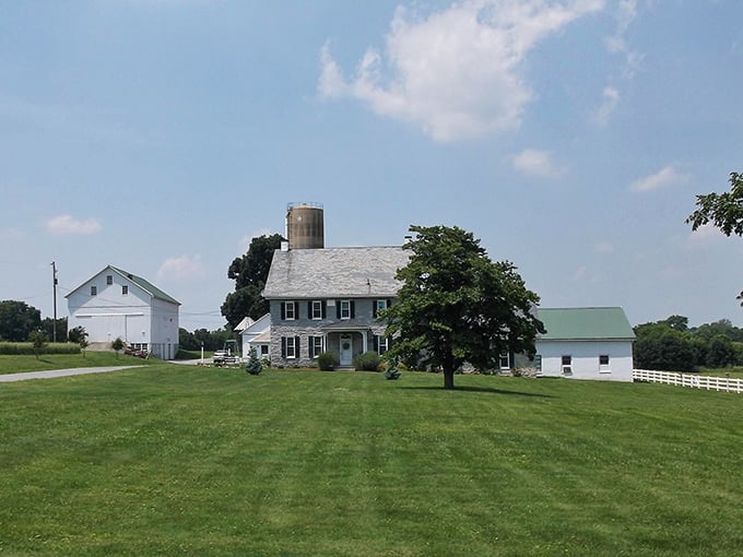 Perfect farmhouse, manicured lawn, and not a single Amazon package in sight. The Amish are onto something!