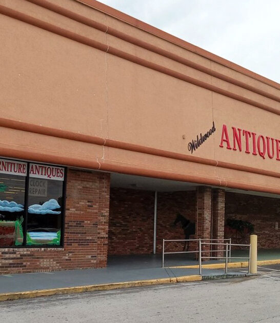 affordable florida vintage store ftr