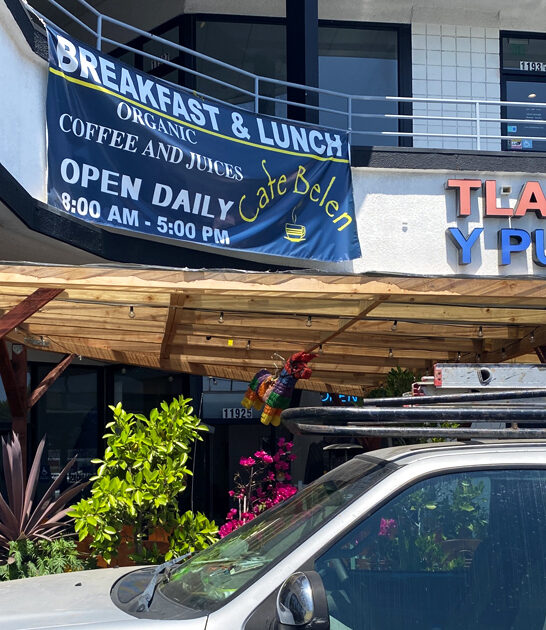 avocado toast california ftr