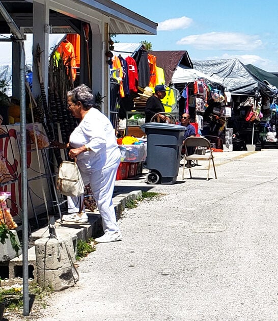 bargain flea paradise florida ftr