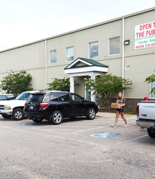 bargain paradise south carolina ftr