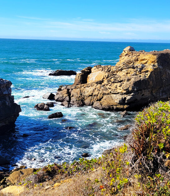 beautiful oceanfront park california ftr
