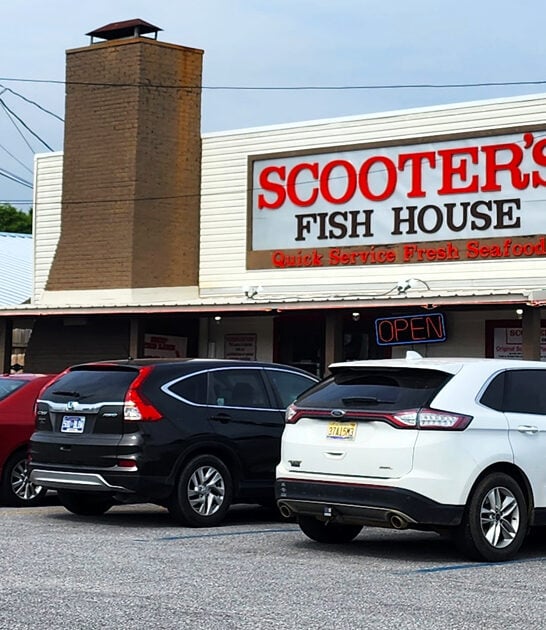 best seafood bites florida ftr