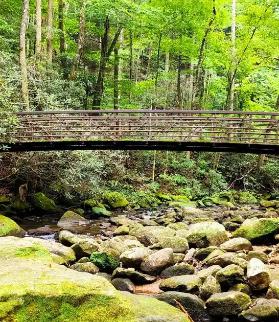 breathtaking south carolina park ftr