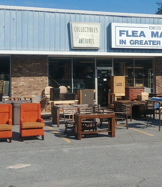 budget thrift store georgia ftr