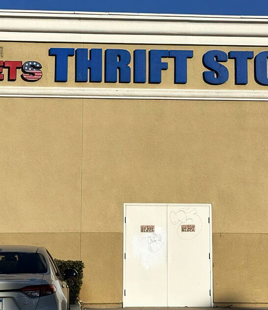 california bargains thrift enormous ftr