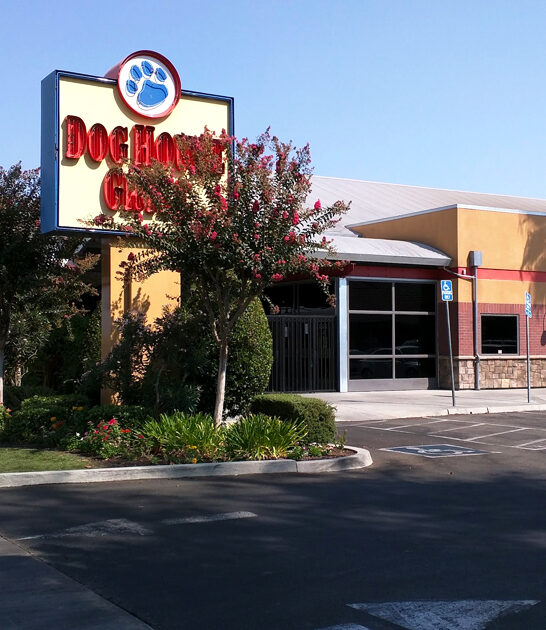 california best burgers tasty ftr