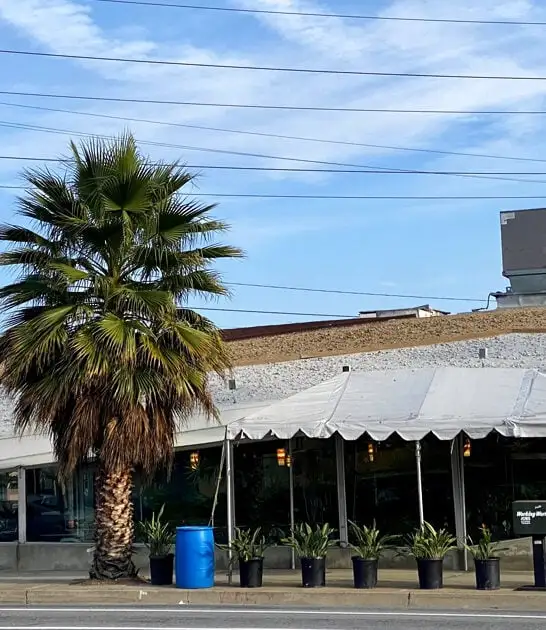 california diner chicken waffles ftr