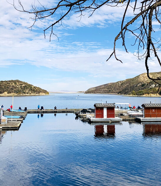 california dream state park ftr