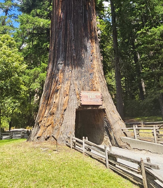 california fascinating drive thru ftr