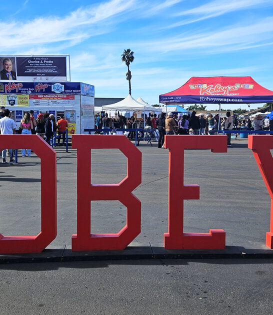 california flea gigantic market ftr