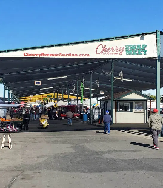 california huge flea affordable ftr