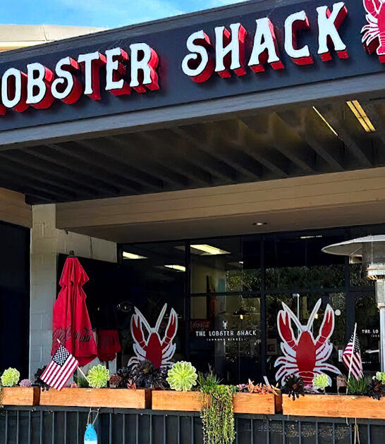 california lobster dreams ftr
