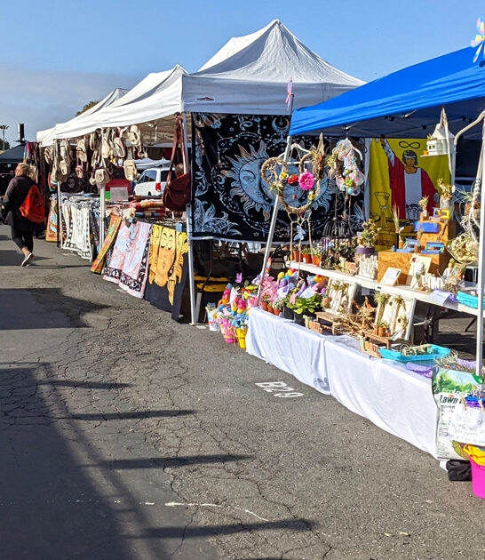 california massive treasure spot ftr