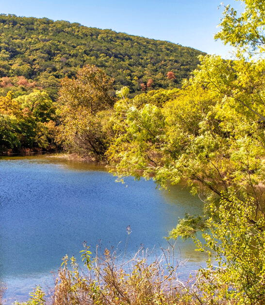 charming park texas nature ftr