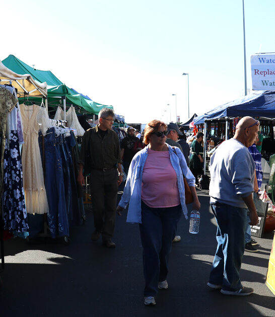 cheap bargain market california ftr