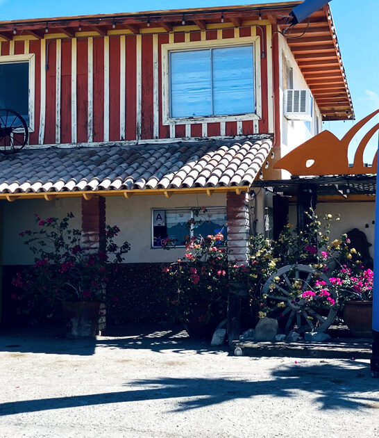 cheeseburger california diner ftr