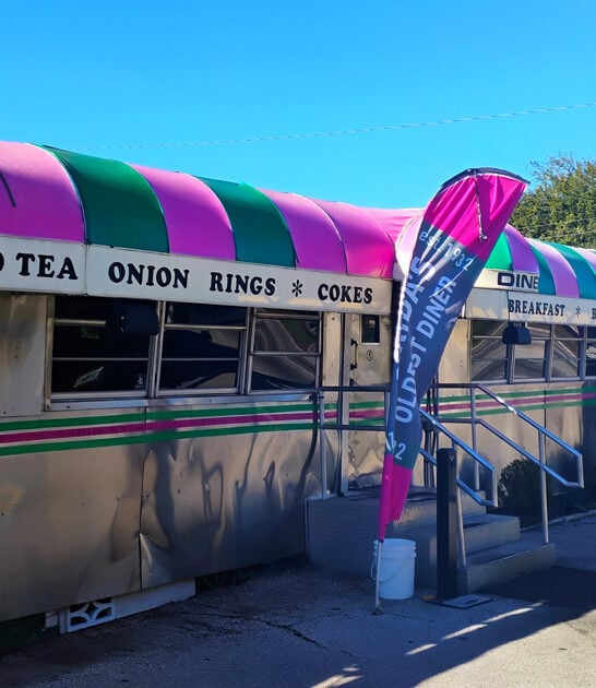 chicken sandwich florida diner ftr