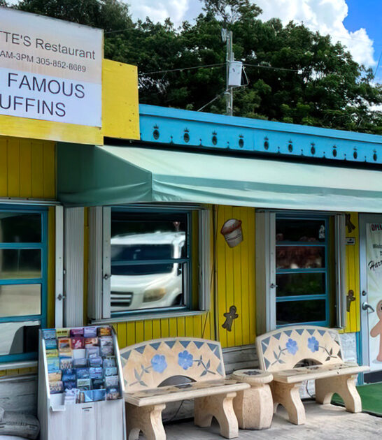 coconut muffin restaurant florida ftr