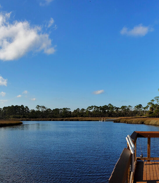 dreamy park florida known ftr