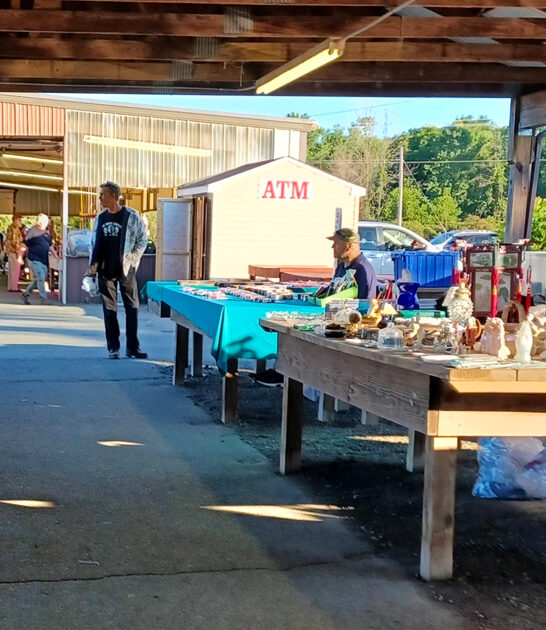 enormous collectible market pennsylvania fftr