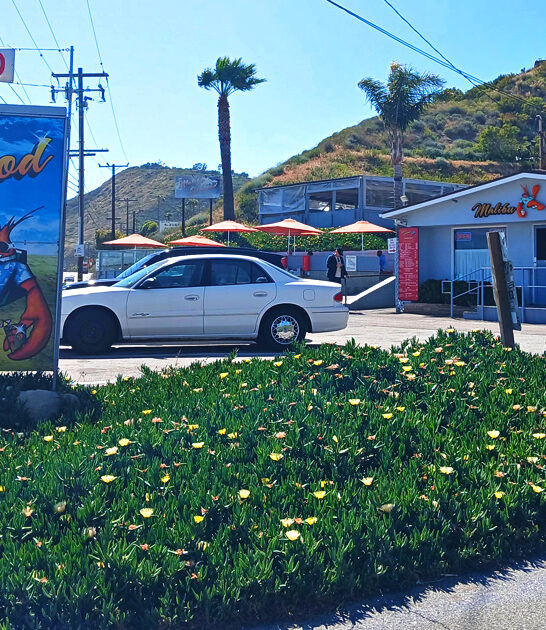fish california chip restaurant ftr