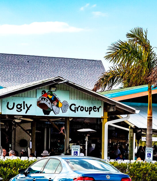 florida funky fish spot ftr