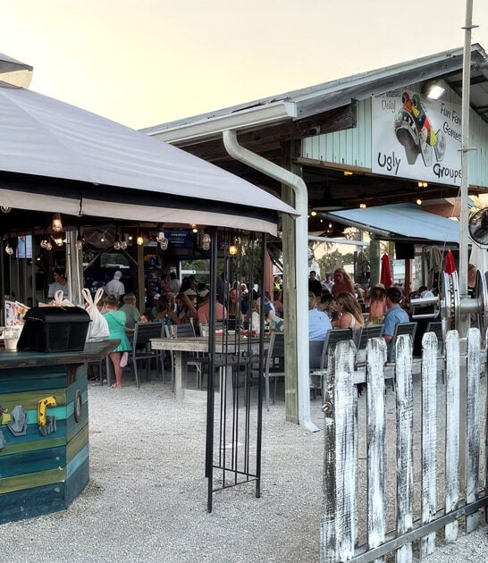 florida outrageous chicken bite ftr