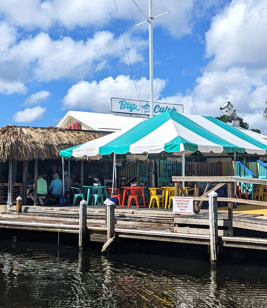 florida restaurant calamari locals ftr