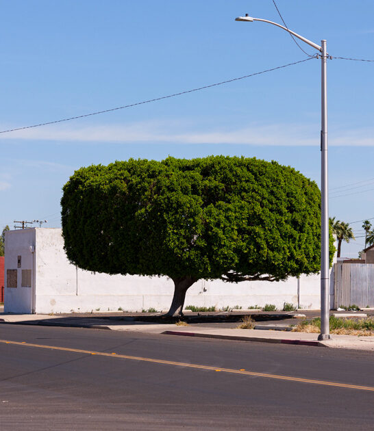 fresh desert town california ftr