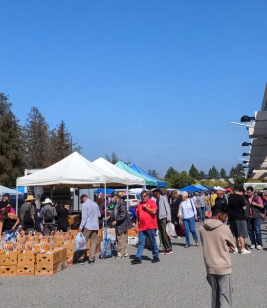 giant california treasure market ftr