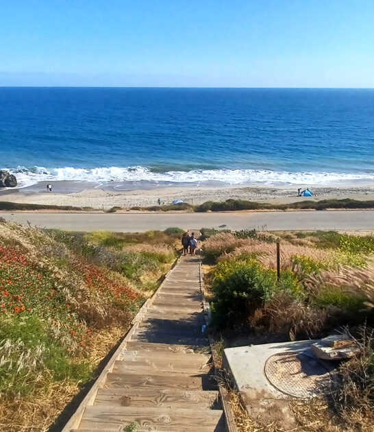 golden state park journey ftr