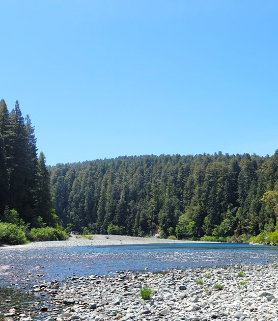 gorgeous hidden park california ftr