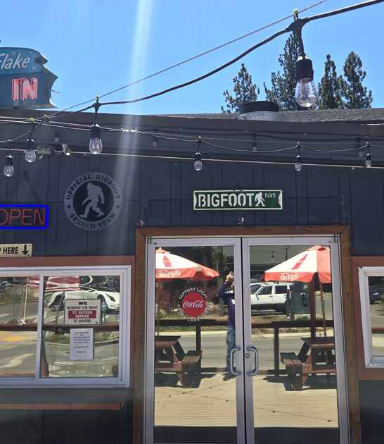 hot dog drive california ftr